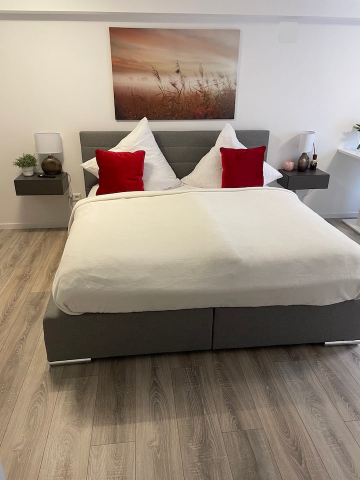 Sophie Apartment - Karlsruhe