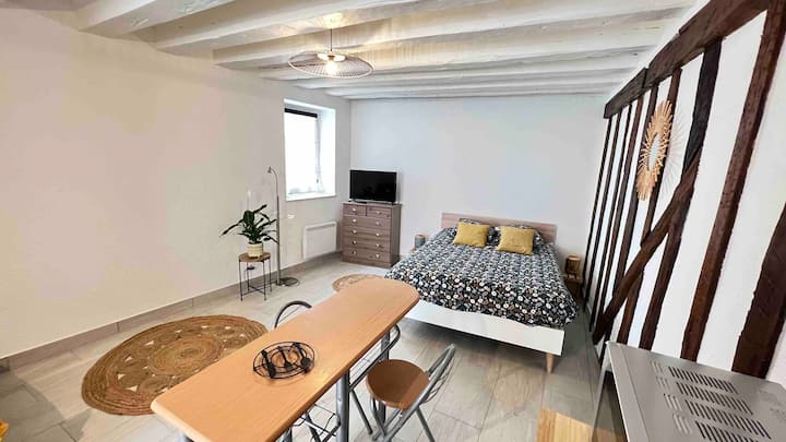 Charmant Studio Au Coeur D'amboise - Amboise