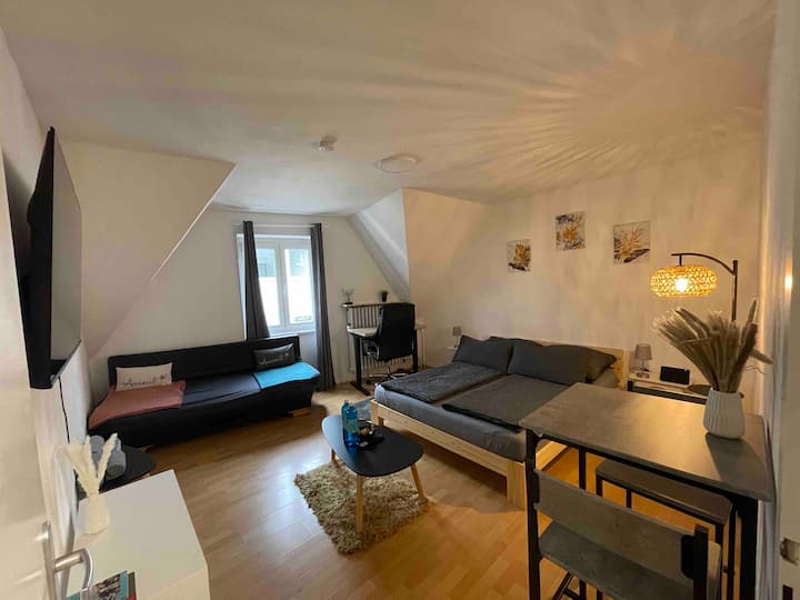 Cozy Flat In The City Center, Min 1 Month 35 - Trèves