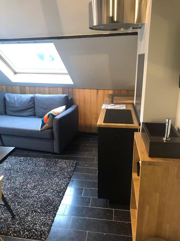 D - Knusse Studio Met Zicht Op De Kathedraal - Anvers