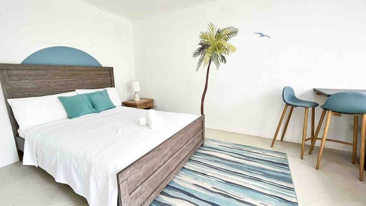Simple Studio Apartment With Private Entrance. - Barbados
