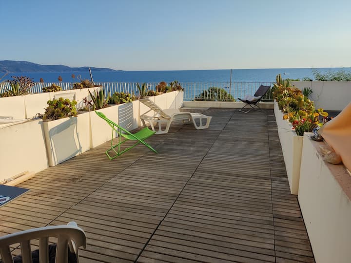 Studio "Les Pieds Dans L'eau" - Olmeto