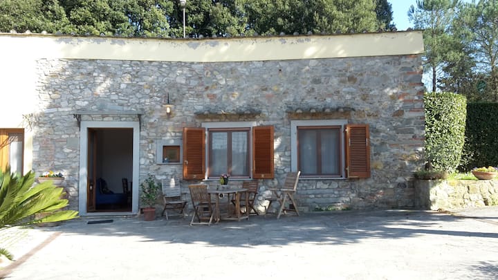 Appartamento Blu,giardino,piscina,8km Da Firenze - Scandicci