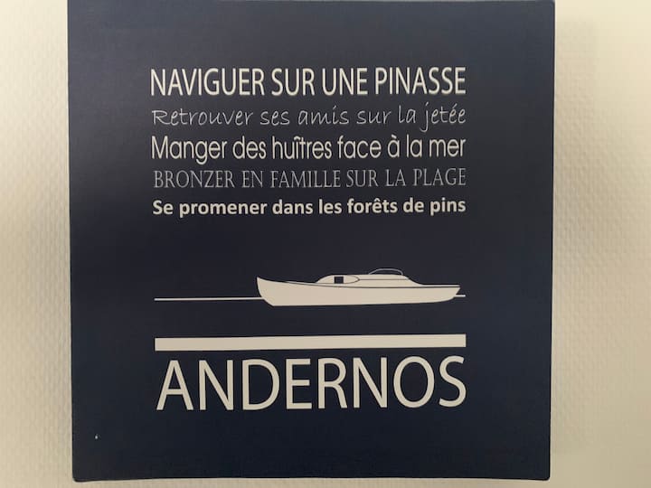 Au Coeur D’andernos-les-bains à 200 M De La Plage - Andernos-les-Bains