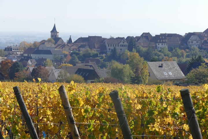 Gîte Fontaine Bacchus - Colmar