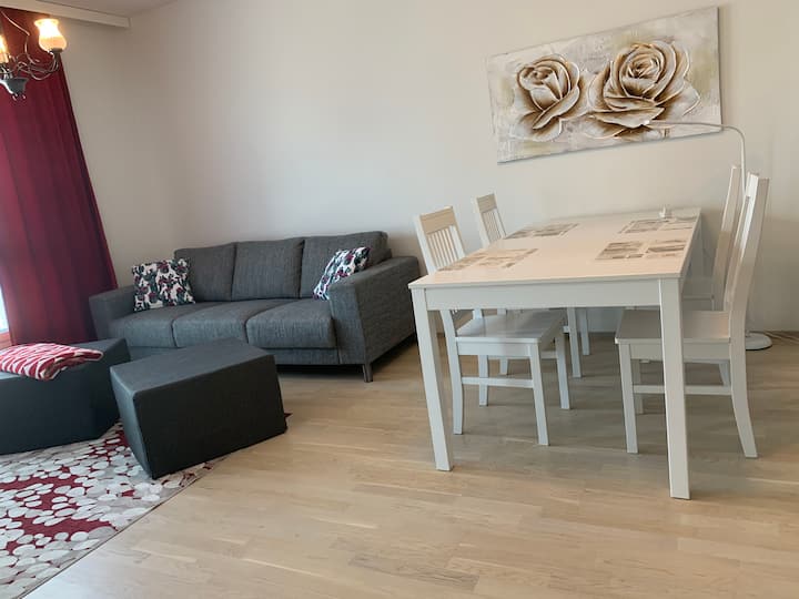 Minna: Viihtyisä Keskustakaksio 54 M2 - Jyväskylä