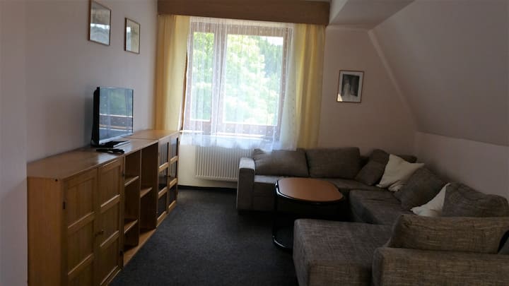 Apartmán 2 Rýžoviště Harrachov - Harrachov