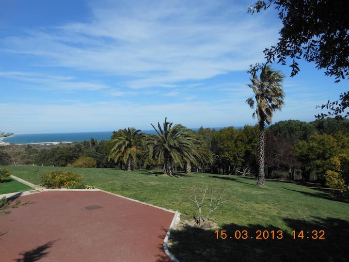Appartement Proche Collioure Vue Mer - Banyuls-sur-Mer