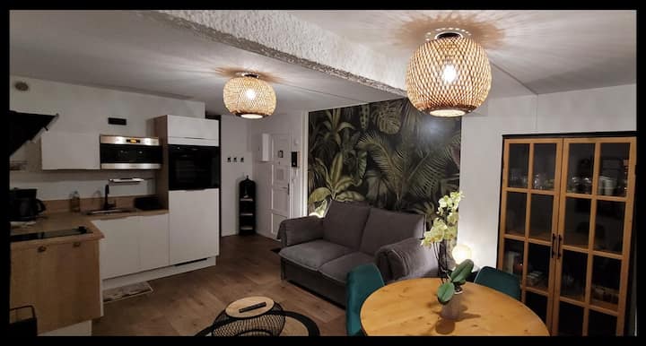 Studio Vue Mer Wi-fi Jardin Clos Piscine Chauffée - Guidel