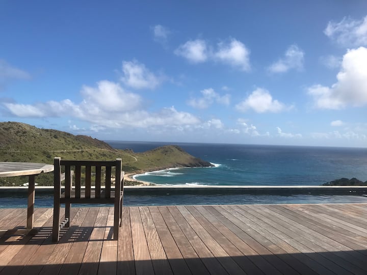 Surfin' Bird - Saint-Barthélemy