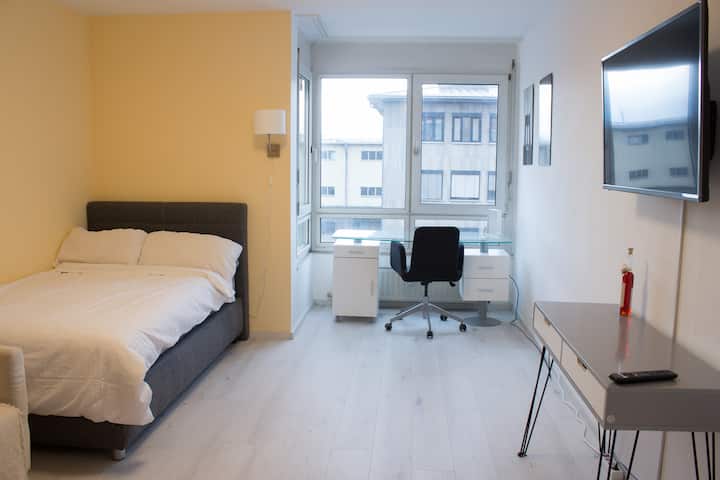 University 2 Min, City 6 Min, Mba-school 7 Min - Mannheim