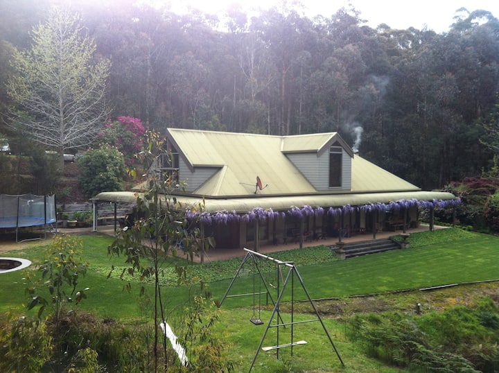 Green On Green - Noojee