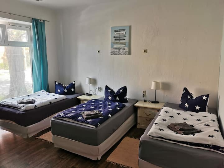 Individuell,3 Zimmer 8 Einzelbetten - Wittenberg