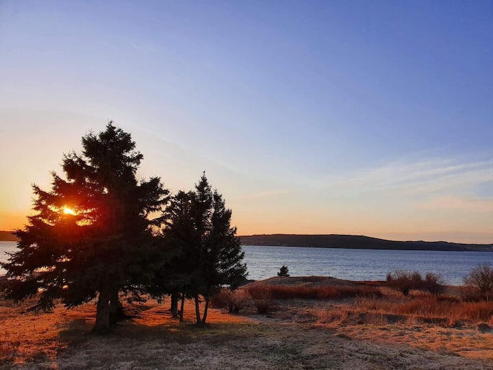 Musgravetown Vacation Rentals & Homes - Newfoundland and Labrador ...