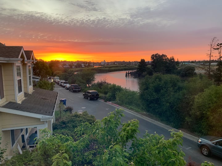 River's Beauty - Petaluma, CA