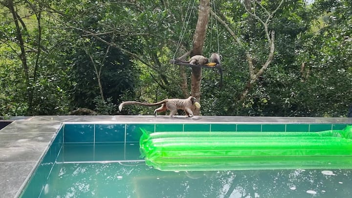 Casa Micos Con Jacuzzi Privado - San Rafael