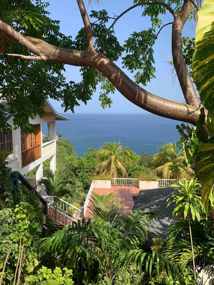 Secluded Caribbean Retreat With A Spectacular View - Montserrat