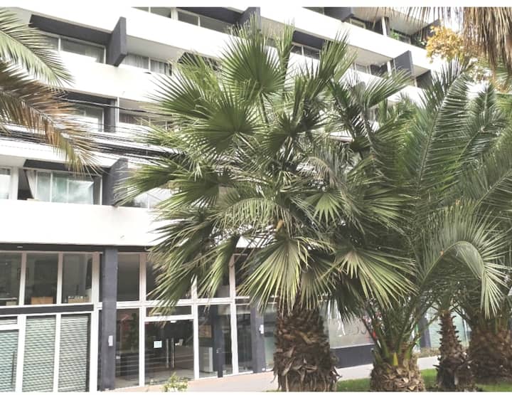 Departamento Parque O'higgins - Santiago