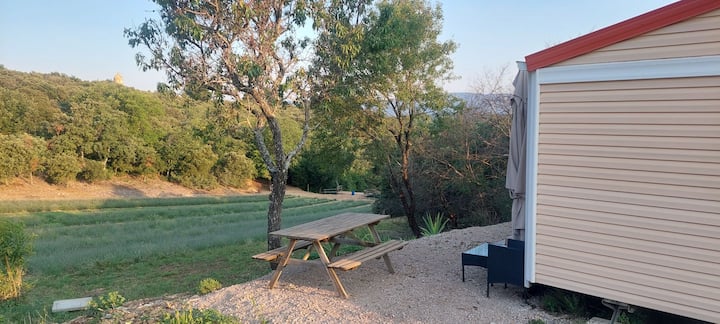 Mobile Home Dans Les Lavandes. - Valensole