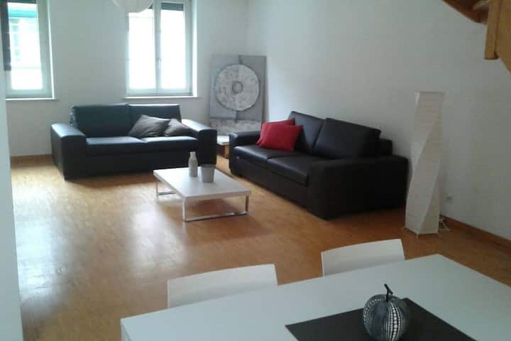 Les Galeries Marval - Exclusive Apartment Jean De Marval - Neuenburg