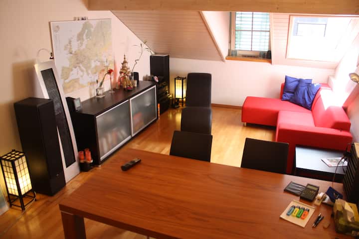 Cosy 2 Room Apt Right At Zurich Main Station - Zürich