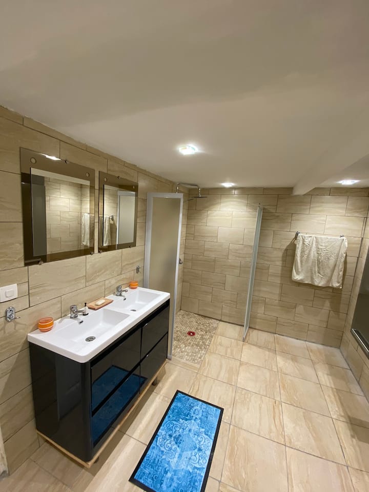 Déplacement Dampierre Ou Belleville - Châtillon-sur-Loire