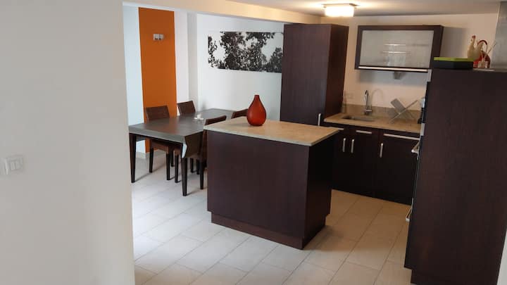 Petite Aile Sud - Duplex Tout Près De Strasbourg - Schiltigheim