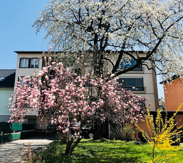 Ruhiges Großes Apartment Im Zentrum. Privathaus. - Hermagor