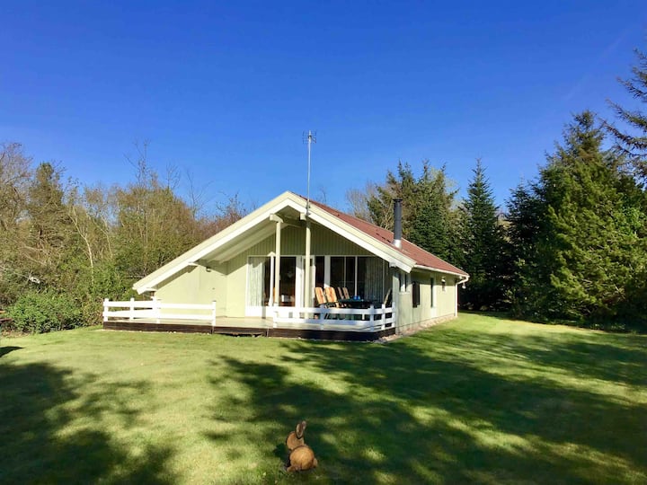 Sommerhus Blåvand Og Henne Strand (Med Rengøring) - Denmark