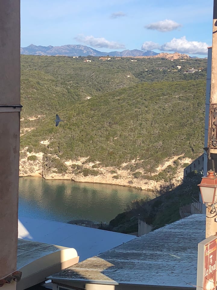 Appartement Bonifacio, Climatisé, Très Bien Situé. - Bonifacio