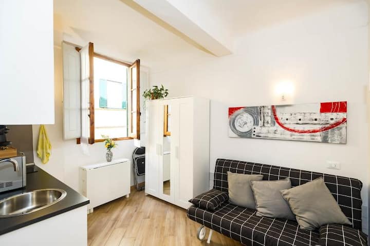 Mara's Nest - Florencia