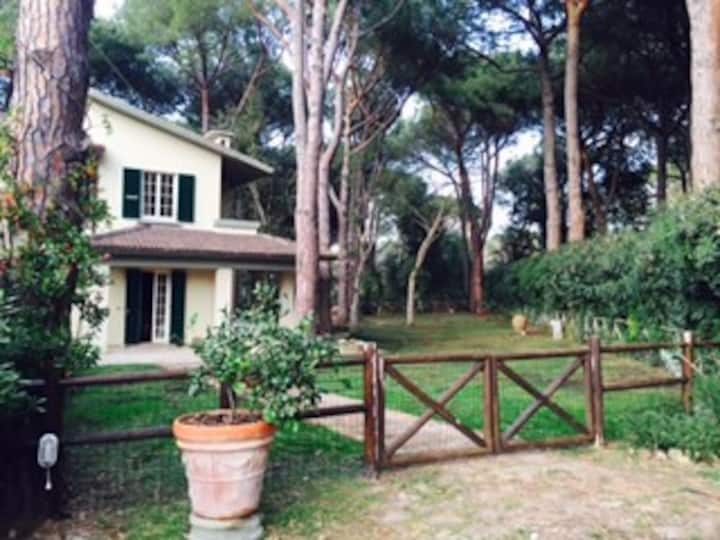 Stupenda Villa Nel Verde A Pochi Metri Dal Mare - Castiglione della Pescaia