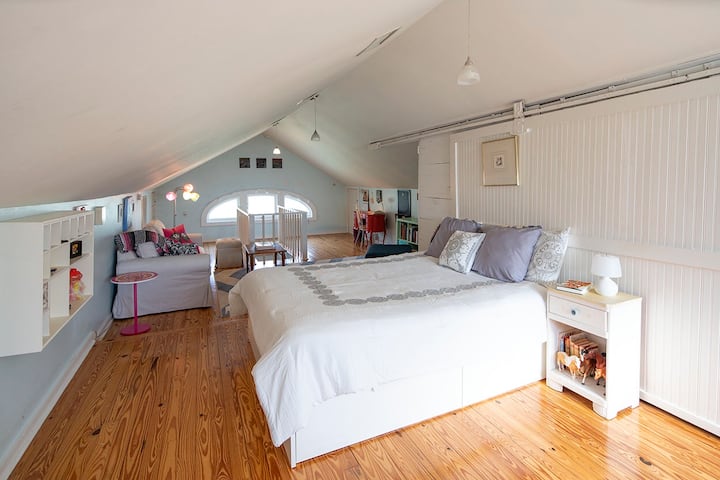 Private Bedroom And Bath In South Tampa Pool Home. - Davis Islands, FL