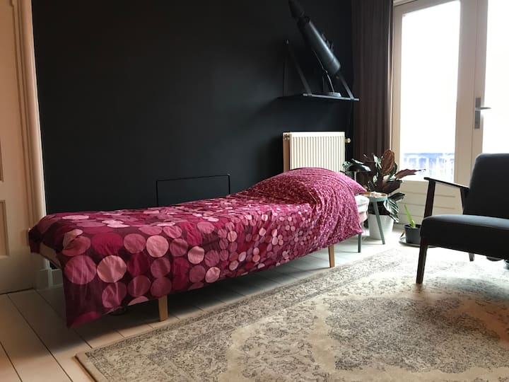 Etage Met Dakterras In Kamper Binnenstad - Kampen