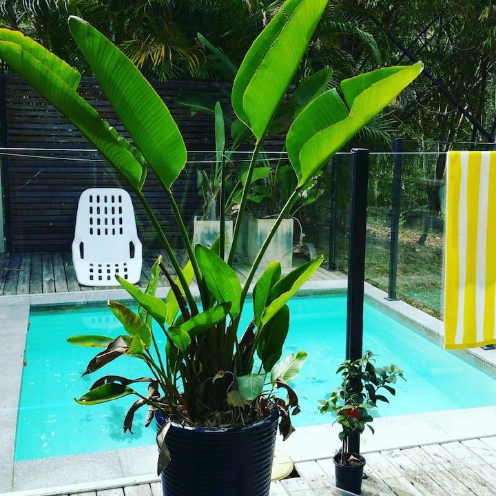 Noosa Hinterland.   Pomona Retro Cottage And Pool. - Pomona