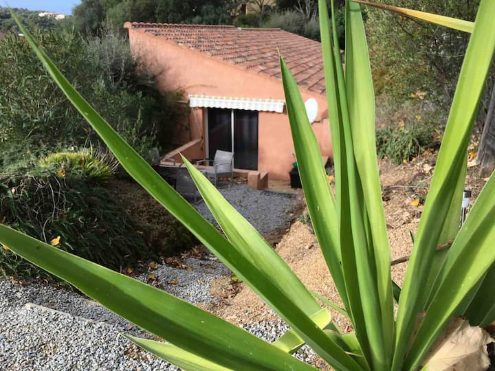 Grand Studio Propriano / Viggianello Climatisé - Olmeto