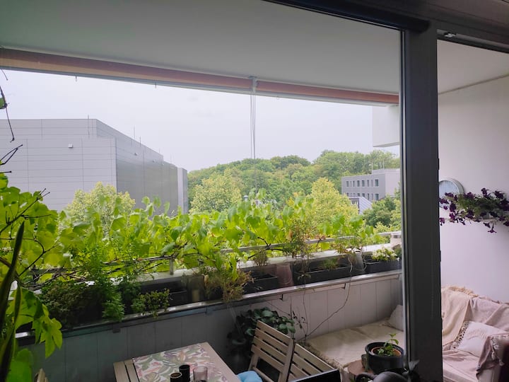 2-zimmer Wohnung Im 4. Stock An Der Isar - München