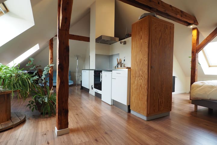 Petit Loft (40m2) Cosy - Lingolsheim