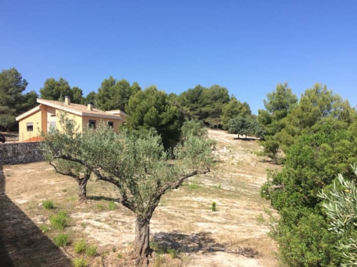 Villa De Standing Au Calme En Pleine Nature - Enguera