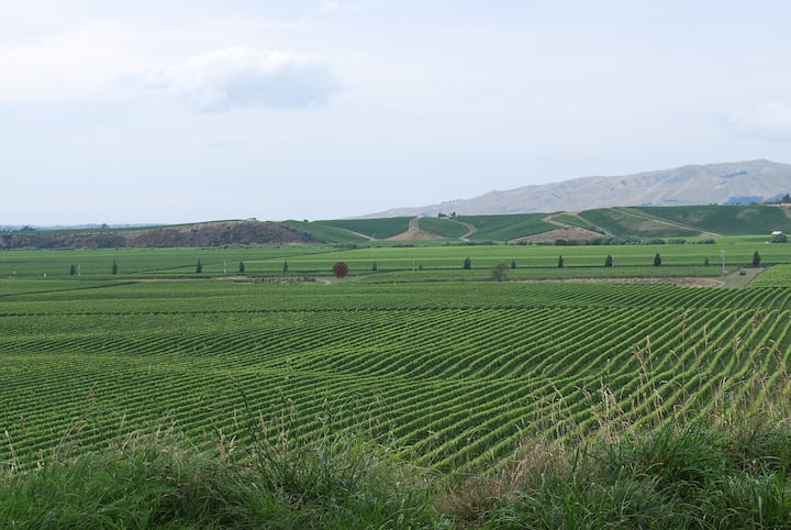 Spacious Private En-suite Room Close To Wineries - Renwick