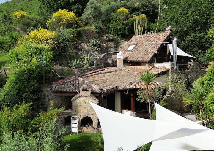 The House Among Olive Trees - Monte Livata