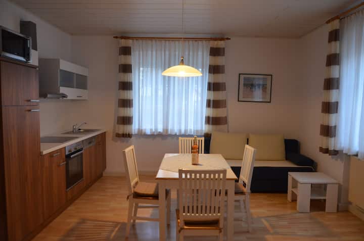 Ferienwohnung In Unserem Ehemaligen Weingut - Geisenheim