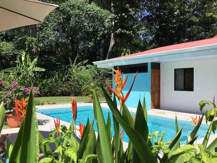 Studio In Tropical Garden - Punta Arenas, Costa Rica