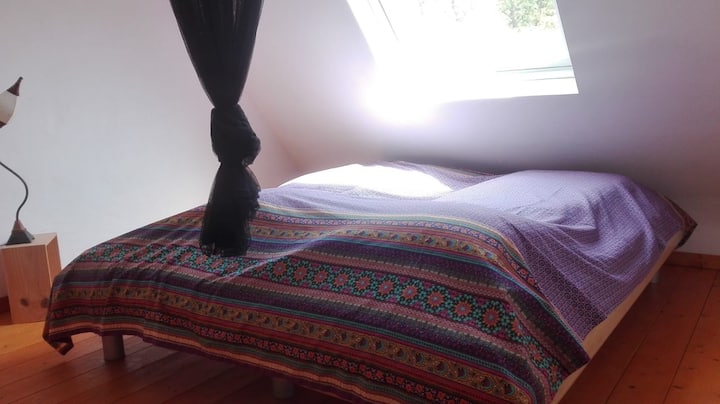 Chambre En Duplex Avec Terrasse Privée - Wissembourg