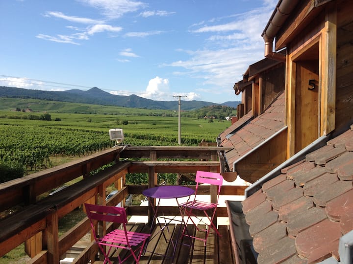 Duplex With Panoramic View In The Greiner Winery - Colmar