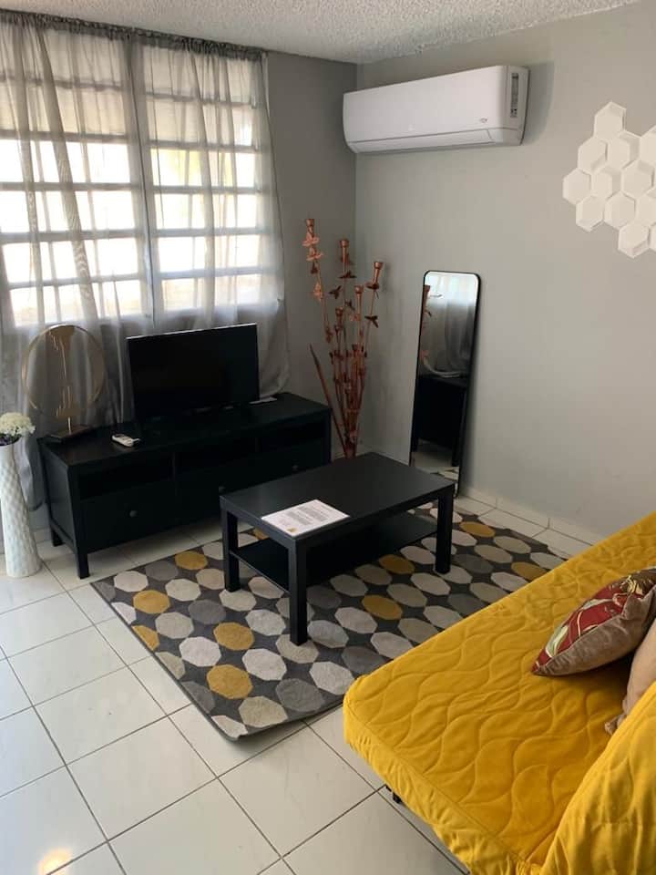 Grande Cerca De Aeropuerto #4 - Trujillo Alto