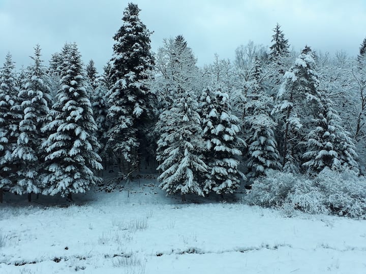 Gîte Marionfaing - Vosges - Saulxures-sur-Moselotte