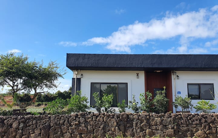 한경면 조수리, 돌담,귤나무, 잔디마당, 바베큐가능 "조수스테이" .보름.한달살기숙소 - South Korea