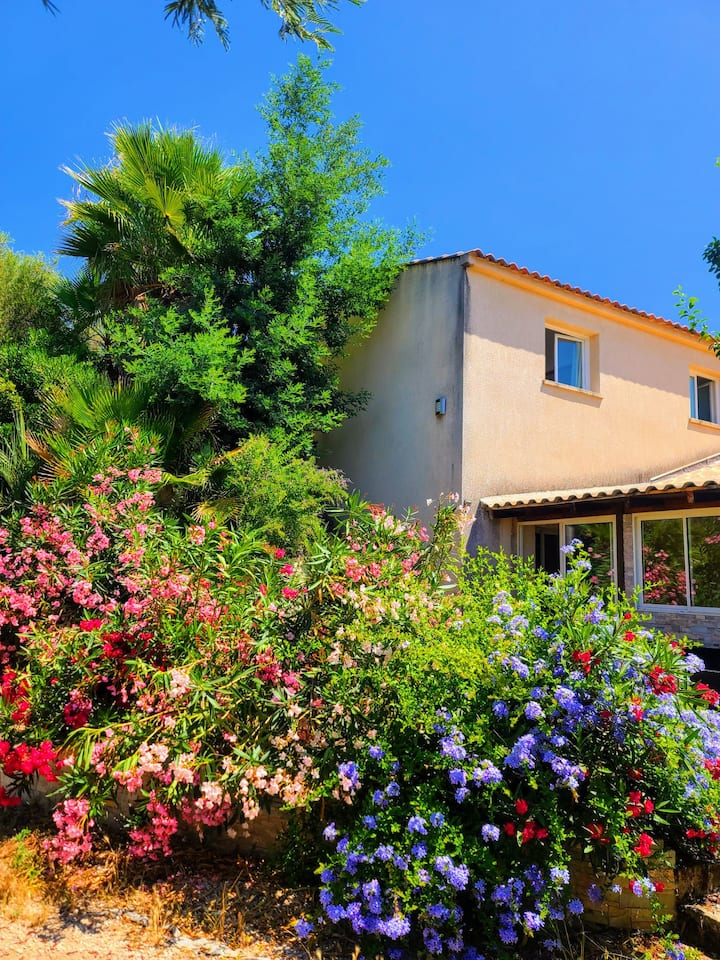 Charmante Petite Maison Au Calme - Bastelicaccia