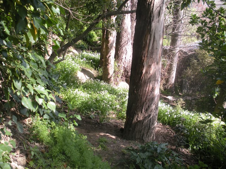 Private Self Contained Flat In Garden Setting - Christchurch